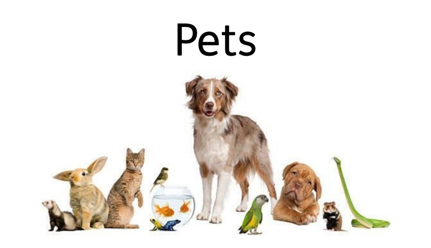 Two Bridges Academy - Class Pages